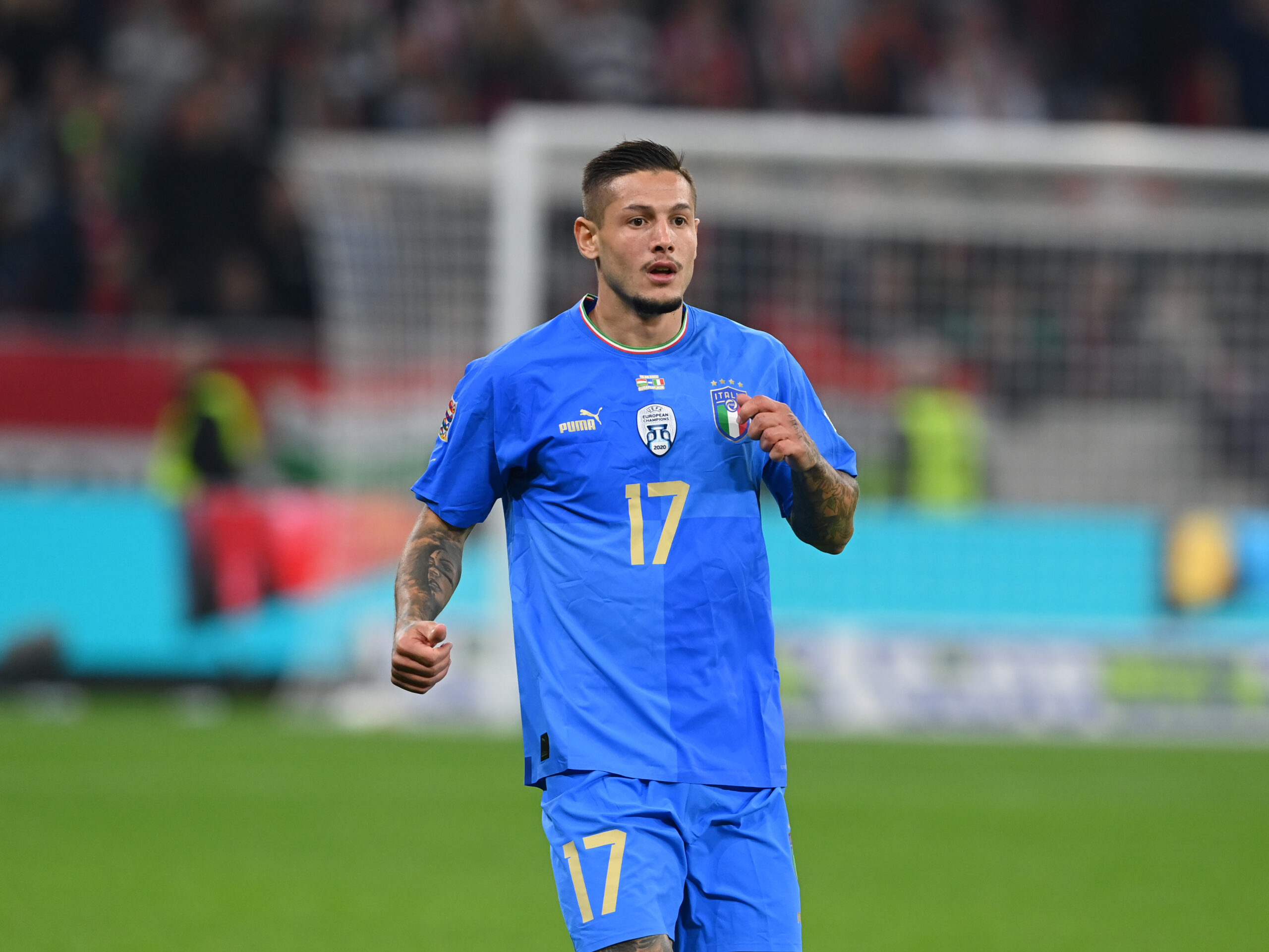 Napoli su Mazzocchi, arrivano conferme: c'è da battere la concorrenza ...